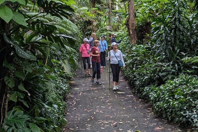 Kona Cloud Forest and Coffee Tour with Sea Turtle Beach Visit - The Sum Up