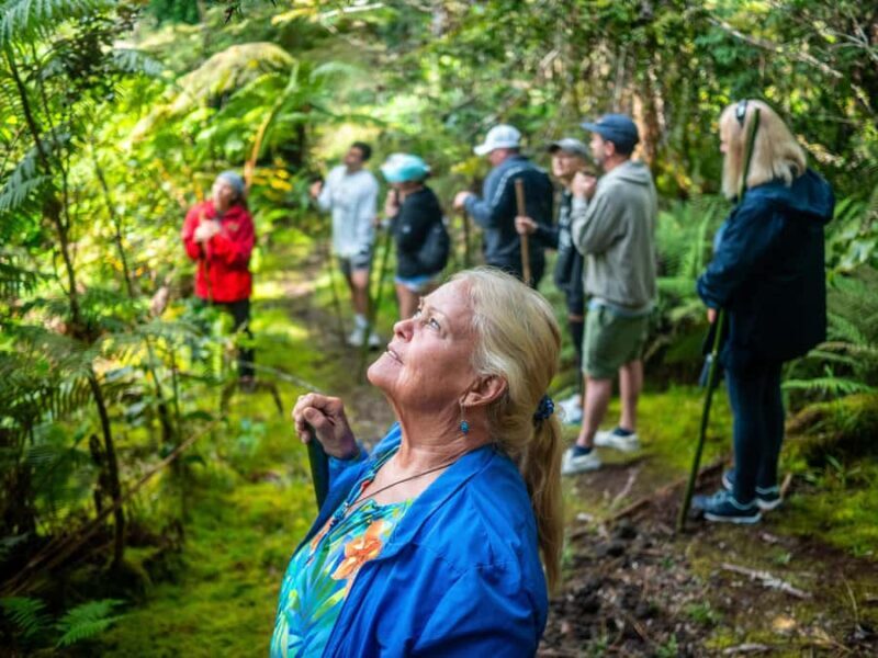 Kona: Cloud Forest, Coffee Farm, and Turtle Beach Tour - Authentic Experiences and Traveler Feedback