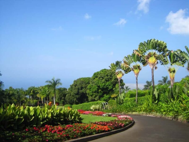 Kona: Cloud Forest, Coffee Farm, and Turtle Beach Tour - Frequently Asked Questions