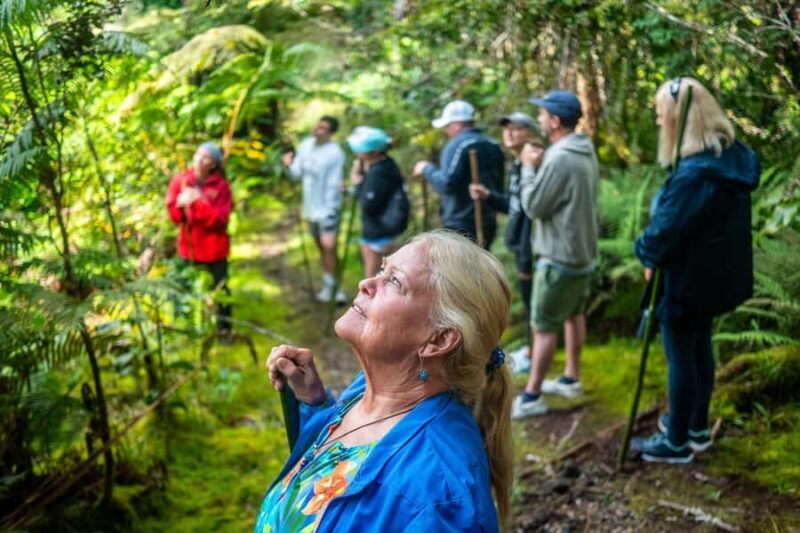 Kona Cloud Forest Sanctuary Montane Jungle Tour (2.5 hrs) - FAQ