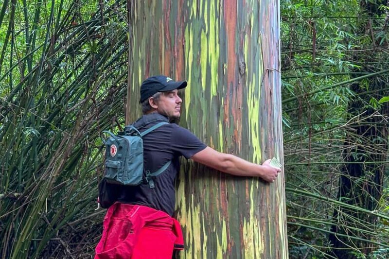 Kona Cloud Forest Sanctuary: Pan-Tropical Trail Guided Walk - An In-Depth Look at the Kona Cloud Forest Sanctuary Guided Walk