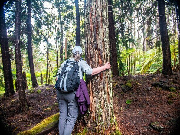 Kona Cloud Forest Sanctuary Pantropical Tour (1.5 hrs) - Key Points