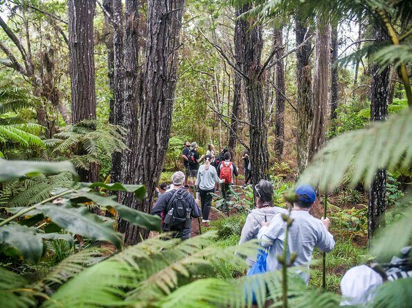 Kona Cloud Forest Sanctuary Pantropical Tour (1.5 hrs) - The Guides: Knowledgeable and Engaging