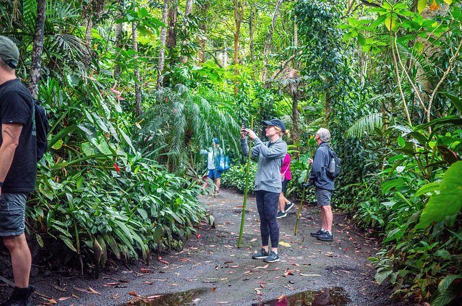Kona Cloud Forest Sanctuary Pantropical Tour (1.5 hrs) - The Cost: Is It Worth $110?