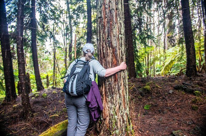 Kona Cloud Forest Sanctuary Pantropical Tour (1.5 hrs) - Summary of Similar Experiences