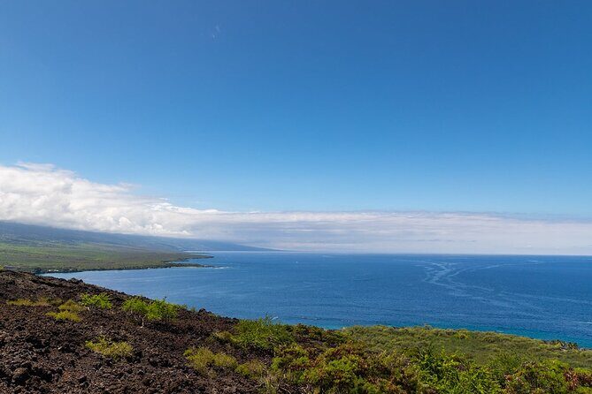 Kona Coast Cruise: Snorkel Kealakekua Bay & Dolphin Encounter - The Itinerary in Detail