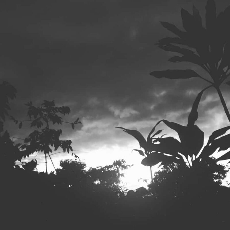 Kona Coast: Rooster Farms Coffee Tasting - Exploring the Experience in Depth