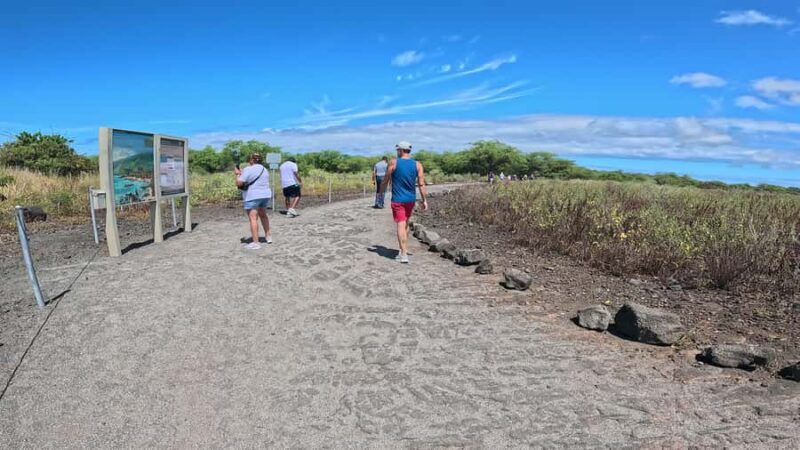 Kona: Coffee and Sea Turtles Tour - The Authentic Touch: What Sets This Tour Apart