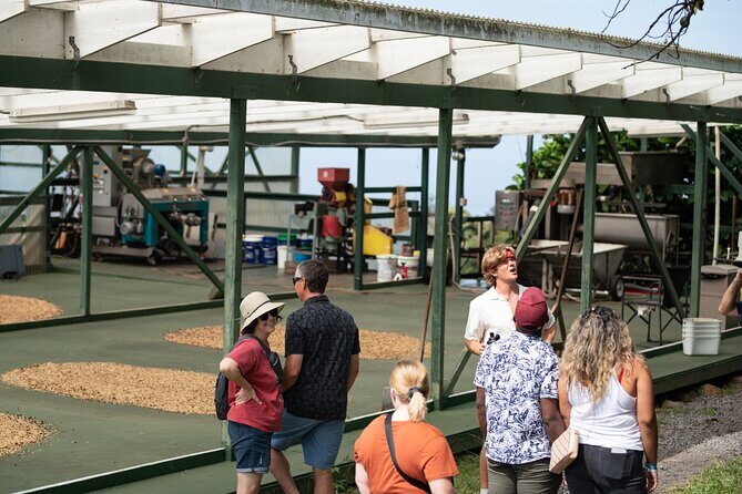 Kona Coffee Farm Tour - Key Points