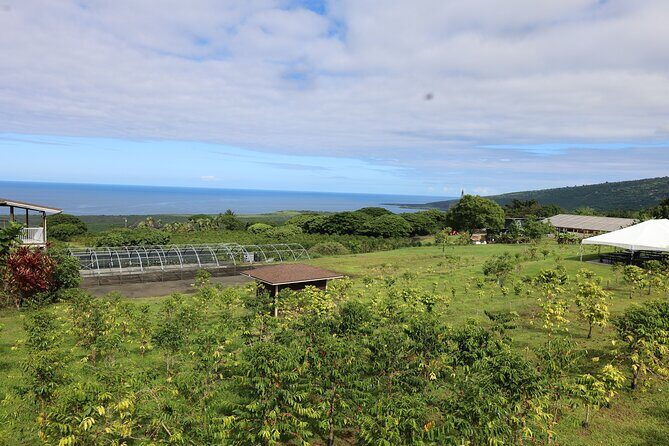 Kona Coffee Farm Tour from Tree to Tasting Room - Learning the Coffee Growing Process