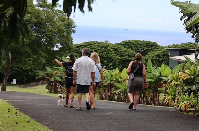Kona Coffee Farm Tour from Tree to Tasting Room - Ending with a Tasting of Kona Coffee