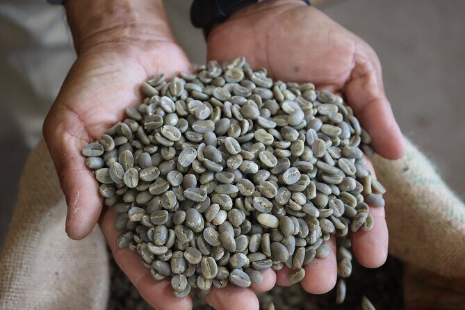 Kona Coffee Farm Tour from Tree to Tasting Room - Practical Details and Value
