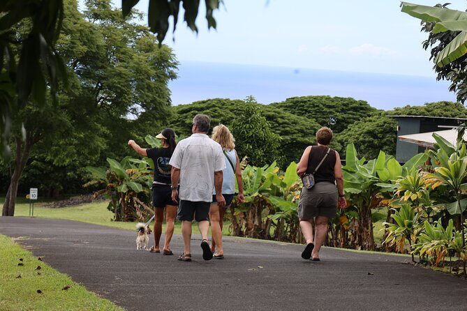 Kona Coffee Farm Tour from Tree to Tasting Room - The Sum Up