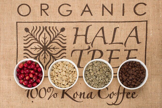 Kona Coffee Tasting: A Farm to Cup Experience - Practical Details
