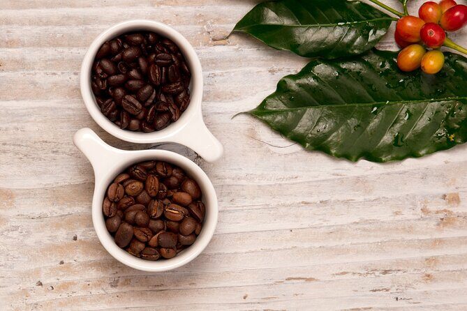 Kona Coffee Tasting: A Farm to Cup Experience - Who Should Take This Tour?
