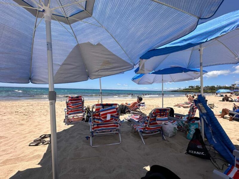 Kona: Cruise Ship Beach Excursion with Tastings - Introduction: A Practical, Authentic Day on the Big Island