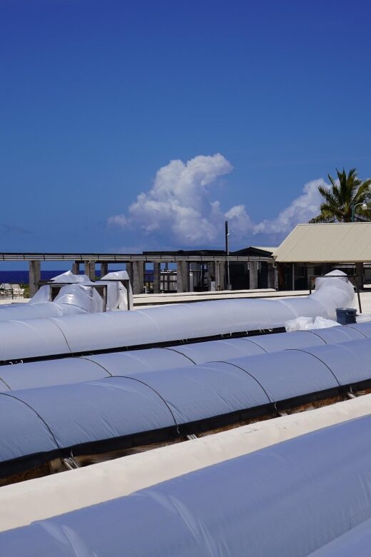 Kona: Hawaiian Salt Farm Tour - Reviews Highlighting the Experience