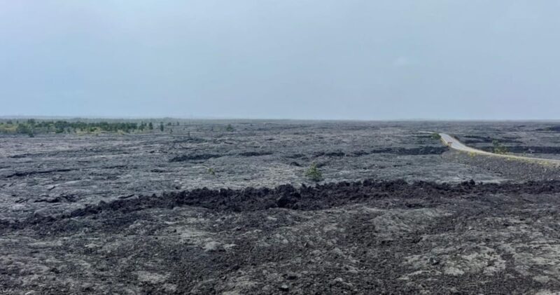 Kona: Kilauea Summit to Shore - Encountering Sea Turtles at Punaluu Black Sand Beach