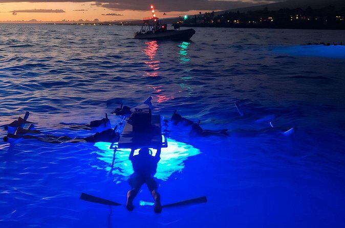 Kona Manta Night Snorkel Adventure: Swim with Majestic Rays - Authentic Experiences and Authentic Guides