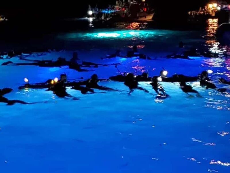Kona: Manta Ray Night Snorkel Adventure - Practical Details: What You Need to Know