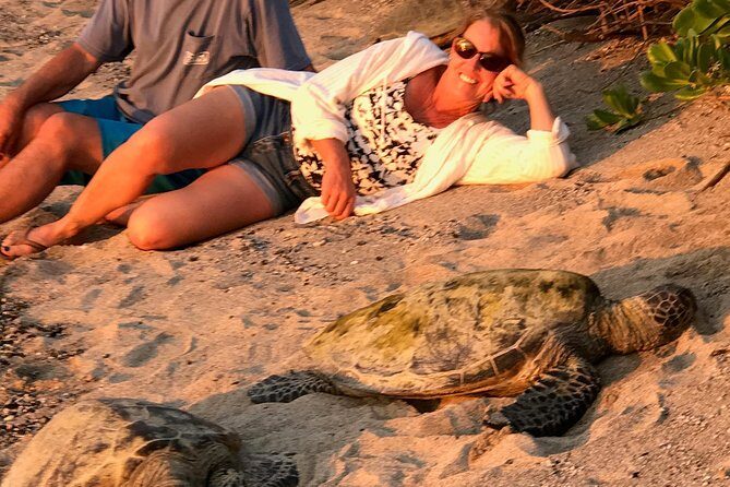 Kona Shore Excursion: Sea Turtles, Historic Kona & Coffee - Who Is This Tour Best For?