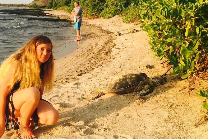 Kona Shore Excursion: Sea Turtles, Historic Kona & Coffee - Final Thoughts