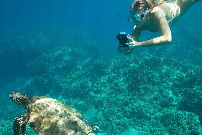 Kona Snorkeling Adventure Open Charter - Who Should Consider This Tour?