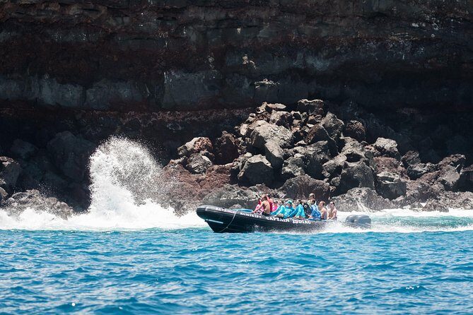 Kona Snorkeling: Beat the Crowd to Kealakekua Bay - The Snorkeling Experience