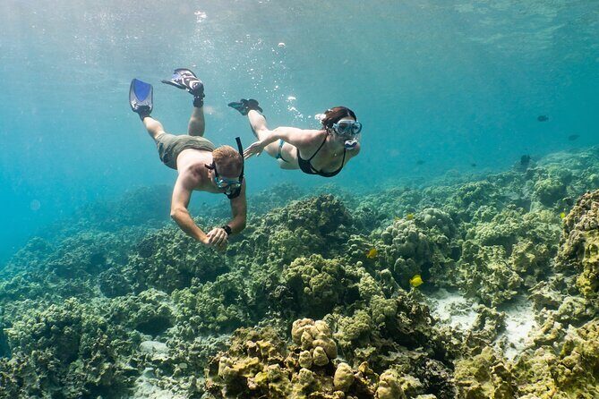 Kona Snorkeling Gear Rental Dive Into Adventure - FAQ