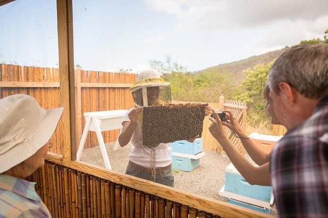 Kona Tour: Bee Farm, Kona Coffee, and National Historical Parks - Pickup and Transportation: Starting Smoothly