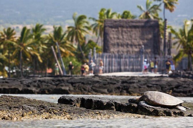 Kona Tour: Bee Farm, Kona Coffee, and National Historical Parks - Final Stop: Exploring Hawaiian Sacred Sites and Telling Stories