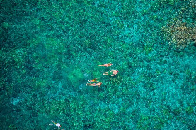 Konas Best Morning Snorkel: Captain Cook & Kealakekua Bay - Who Is This Tour Best For?