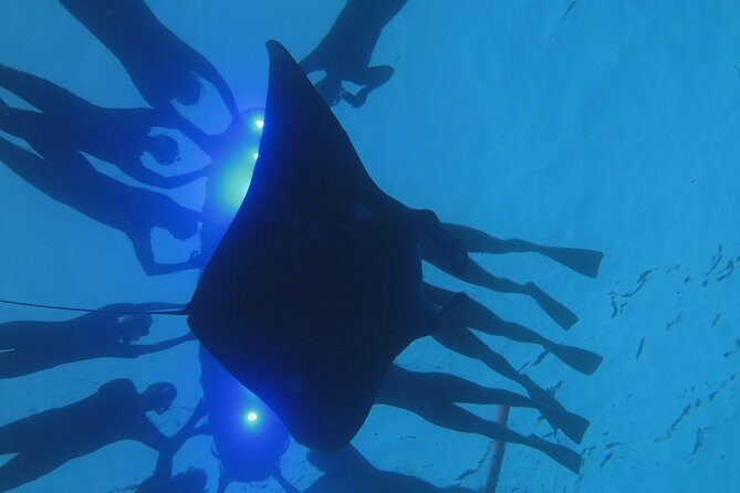 Kona's Magical Manta Ray Night Snorkel: Small-Group Eco-Tour - Final Thoughts