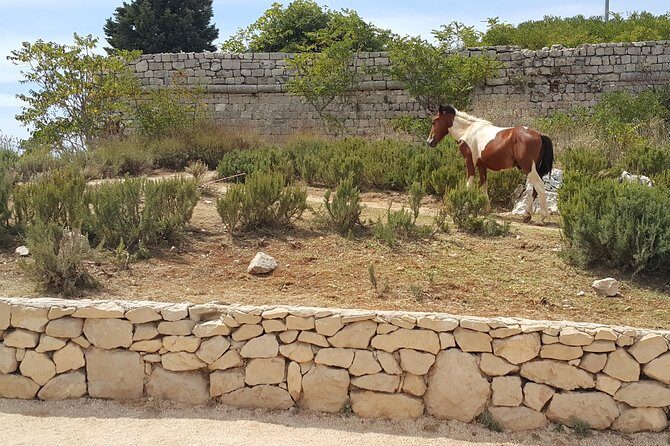 Konavle Countryside Private Tour - What’s Included and What’s Not