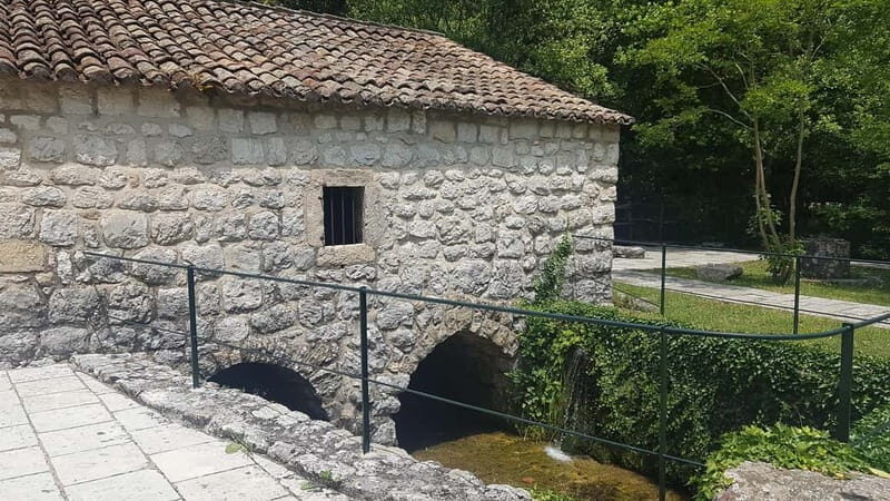 Konavle Valley and Falcon Fortress Half Day Tour with Lunch - Practical Tips