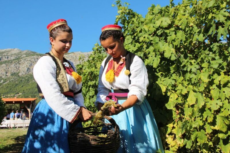 Konavle Valley: Private Half-Day Tour with Wine Tasting - Discover the Charm of the Konavle Valley: Private Half-Day Tour with Wine Tasting
