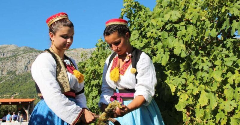 Konavle Valley: Private Half-Day Tour with Wine Tasting - What Makes This Tour Stand Out
