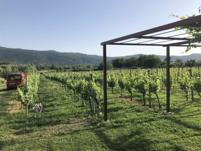 Konavle Valley: Private Half-Day Tour with Wine Tasting - Price and Value Analysis