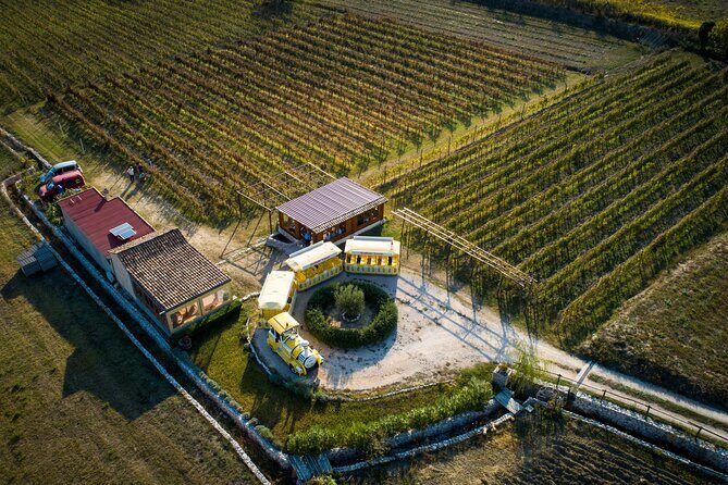 Konavle Valley Wine Tour from Dubrovnik with Train Ride and Wine Tasting - Who Will Enjoy This Tour?