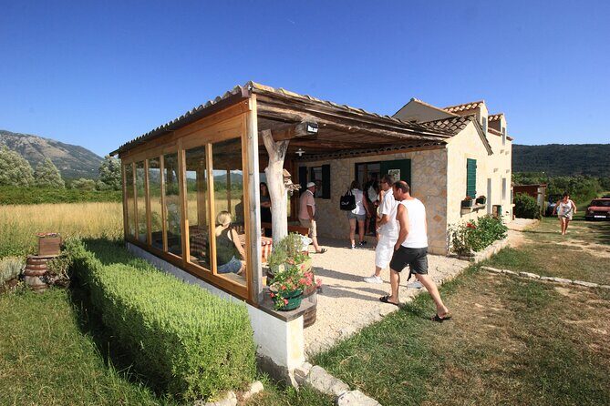 Konavle wine tasting tour from Dubrovnik with 2 vinery's - The Bottom Line: Who Should Consider This Tour?