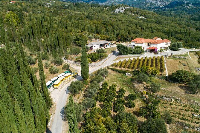 Konavle wine tasting tour from Dubrovnik with 2 vinery's - Final Thoughts