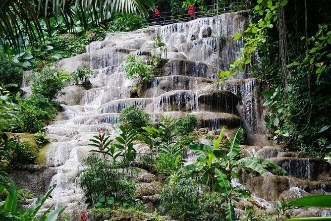 Konoko Falls and Garden Tour from Falmouth - An In-Depth Look at the Konoko Falls and Garden Tour