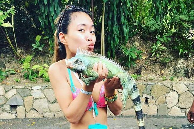 Konoko Falls and Tropical Garden Tour from Ocho Rios - Evaluating the Tour’s Value