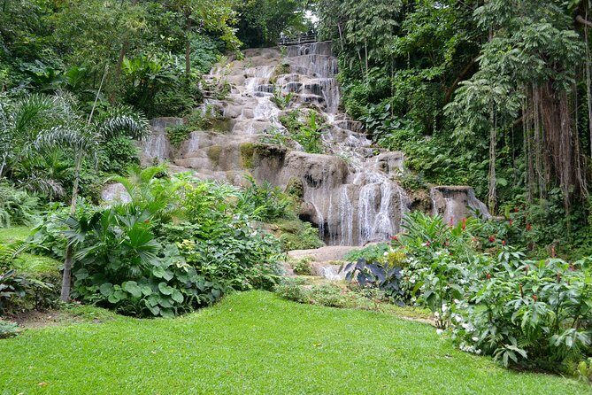 Konoko Falls and Tropical Garden Tour from Runaway Bay - What’s Included and What’s Not
