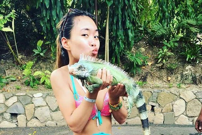 Konoko Falls and Tropical Garden Tour from Runaway Bay - Practical Tips for Participants