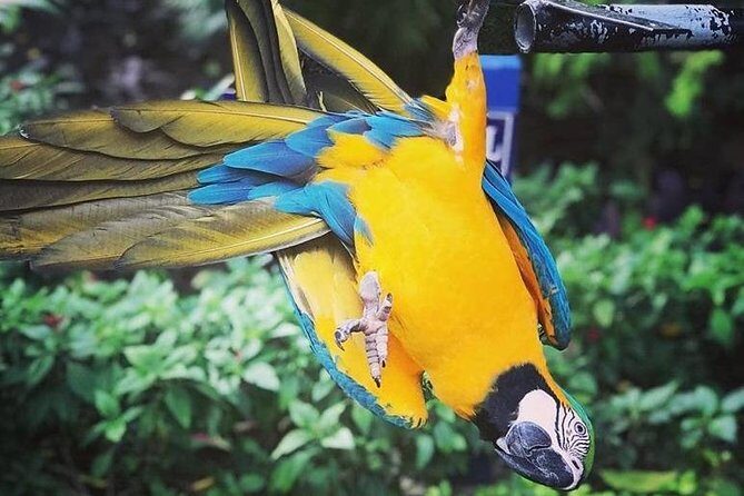 Konoko Falls & Park Private Transportation - The Itinerary in Detail