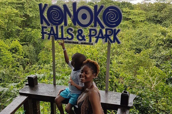 Konoko Falls & Park Private Transportation - The Sum Up
