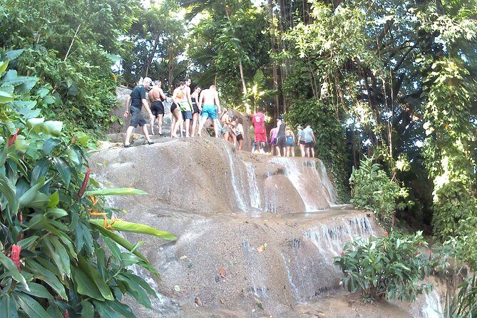 konoko waterfall and zoo - Exploring the Konoko Waterfalls and Zoo Tour: A Detailed Look