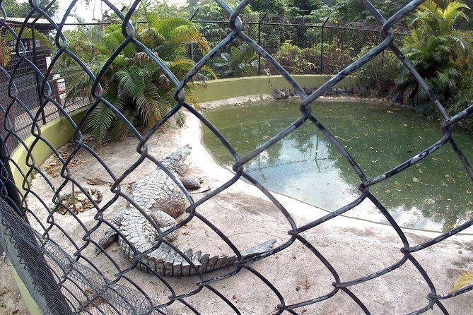 konoko waterfall and zoo - Authentic Experiences and Guiding