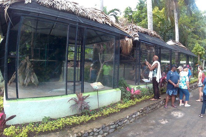 konoko waterfall and zoo - Who Is This Tour Best For?